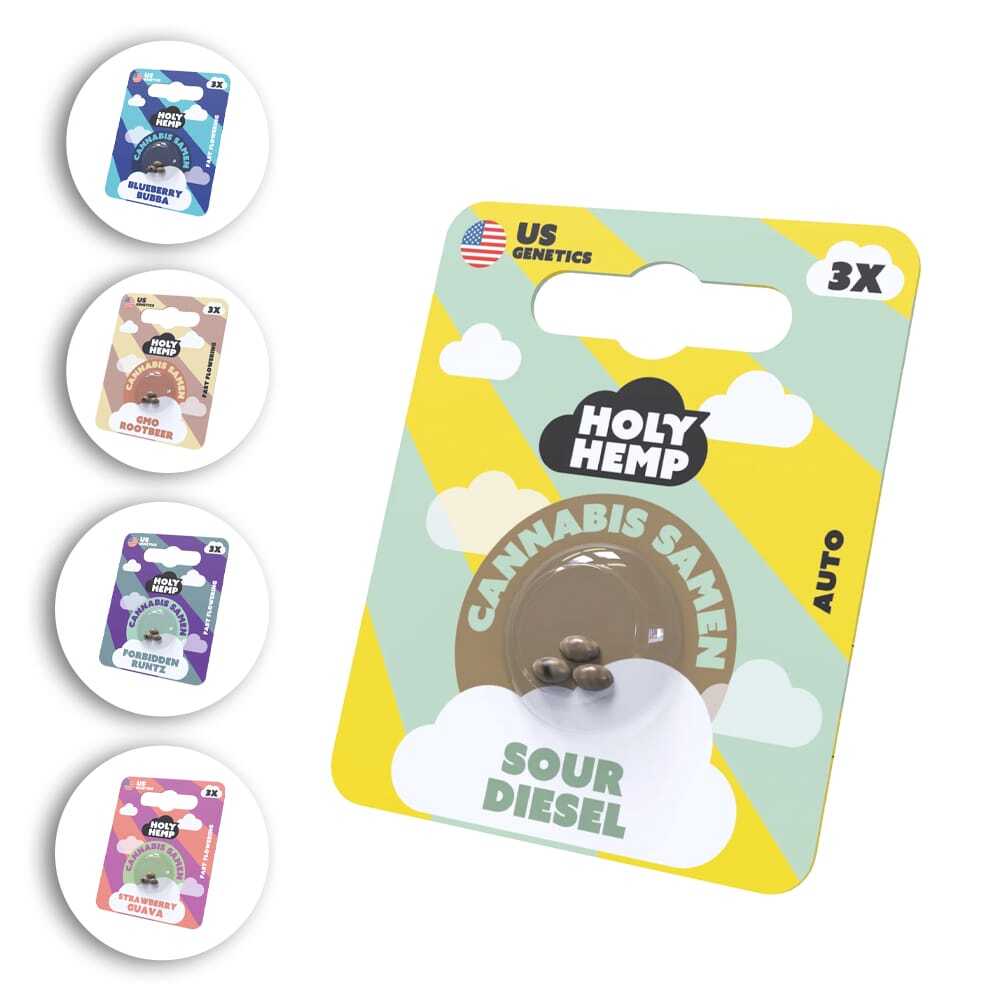 Auto-Flowering Cannabis Samen (THC) - Günstige Preise